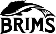 Check out our commercial! – Brims Company